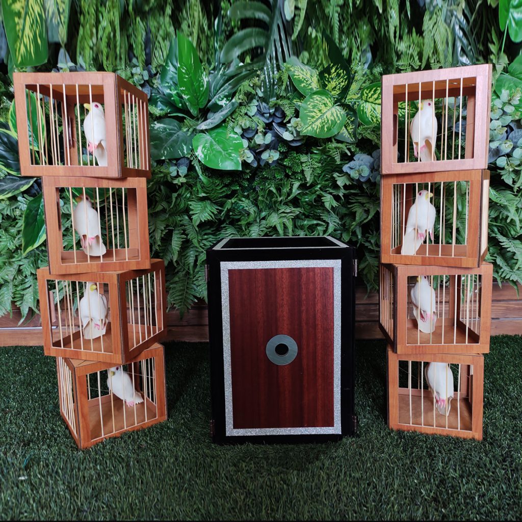 Appearing 8 Cages From Empty Frame | Tora Magic Co.