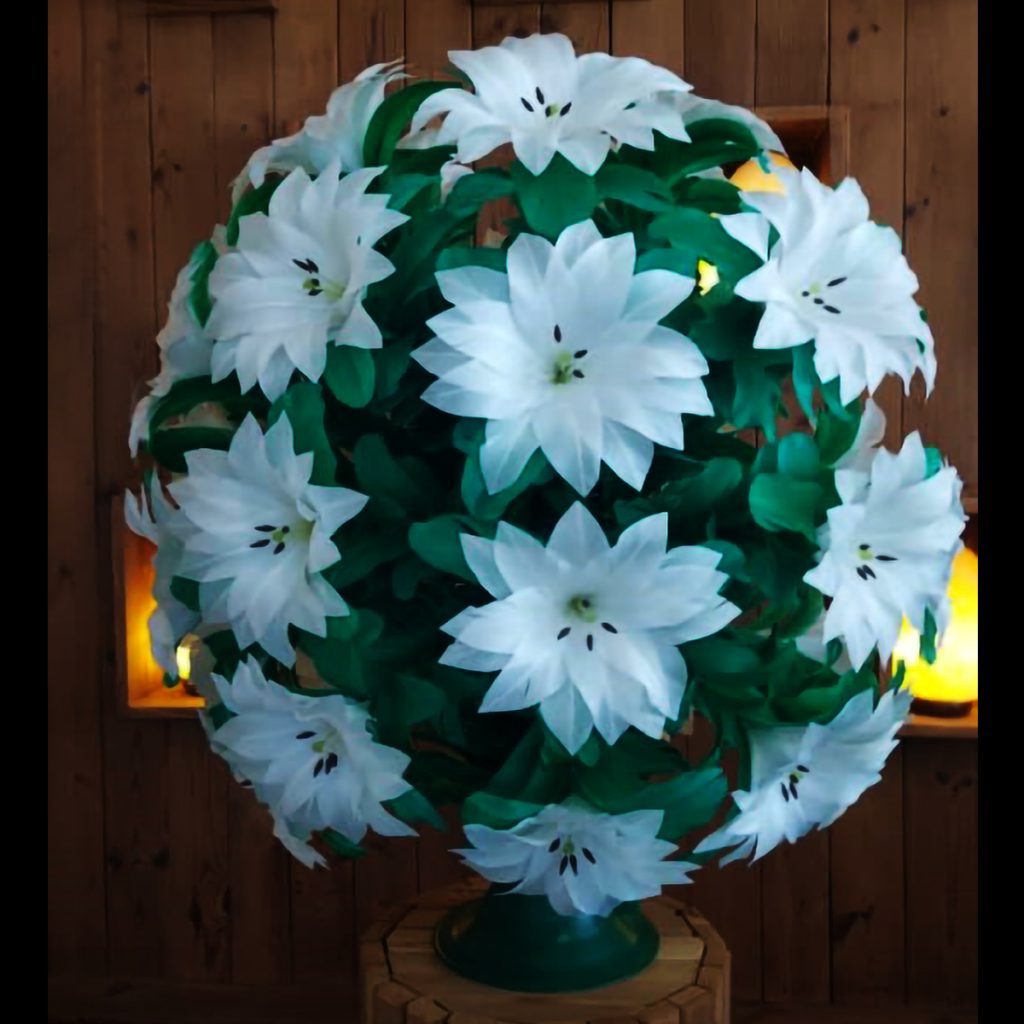 Lily Royal Botania (30 Blooms) | Tora Magic Co.