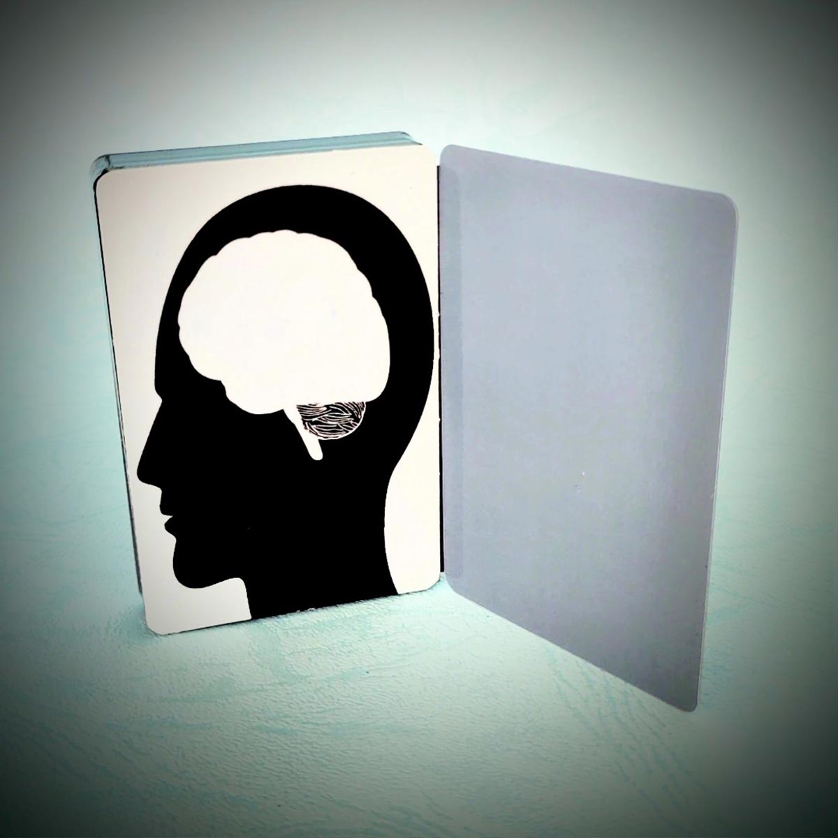 Mind Game Pro | Tora Magic Co.