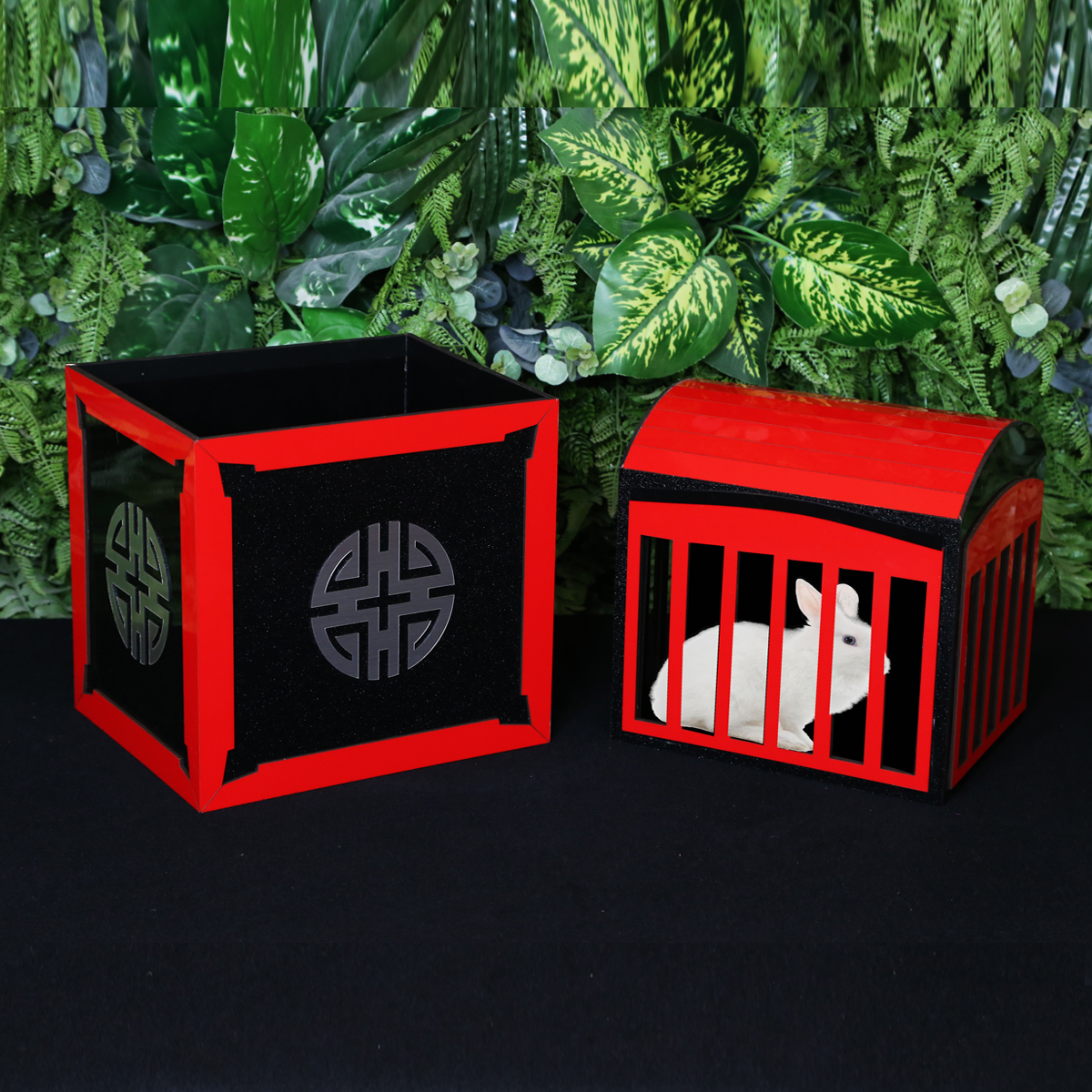 Show Cage | Tora Magic Co.